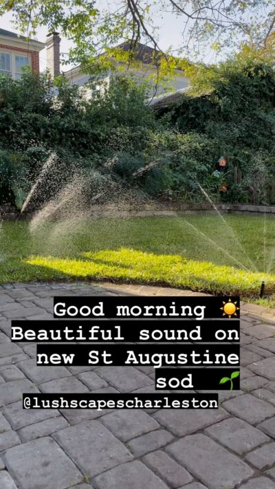 Gallery - lushscapescharleston.com